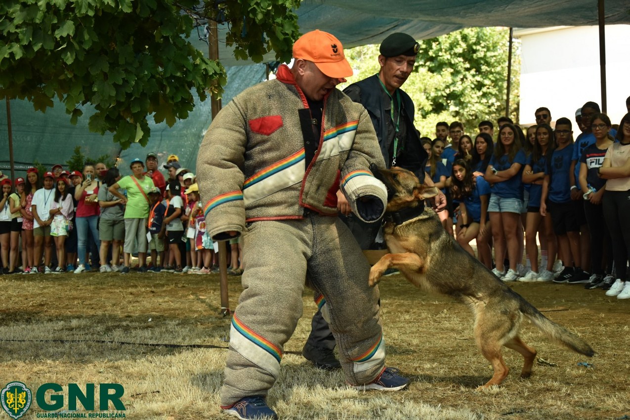 Quase 1400 crianças fizeram do “Open Day” da GNR uma iniciativa ...