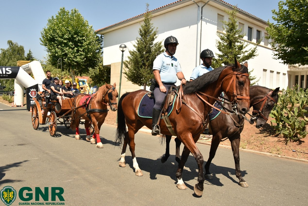 Quase 1400 crianças fizeram do “Open Day” da GNR uma iniciativa ...